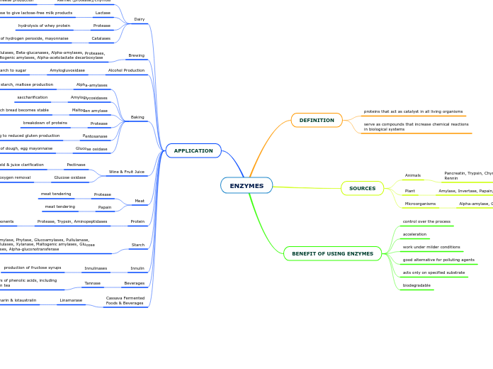 ENZYMES - Mind Map